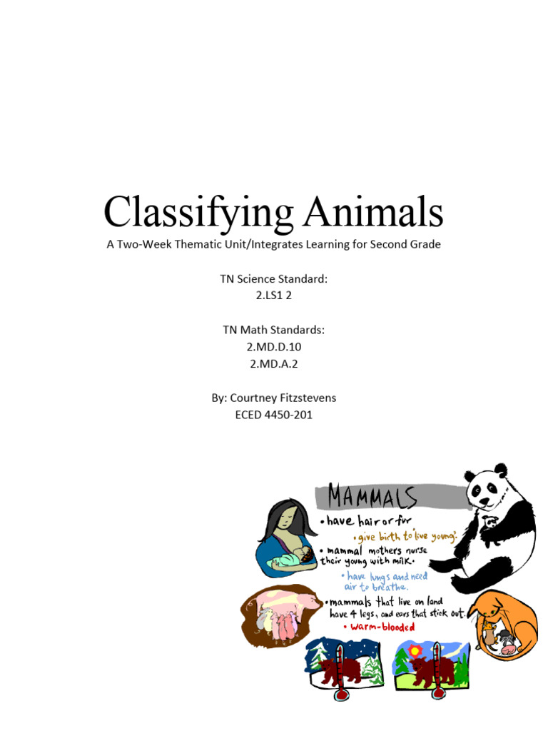 Fitzstevens - 2nd Grade - Life Science | PDF | Eye | Invertebrate