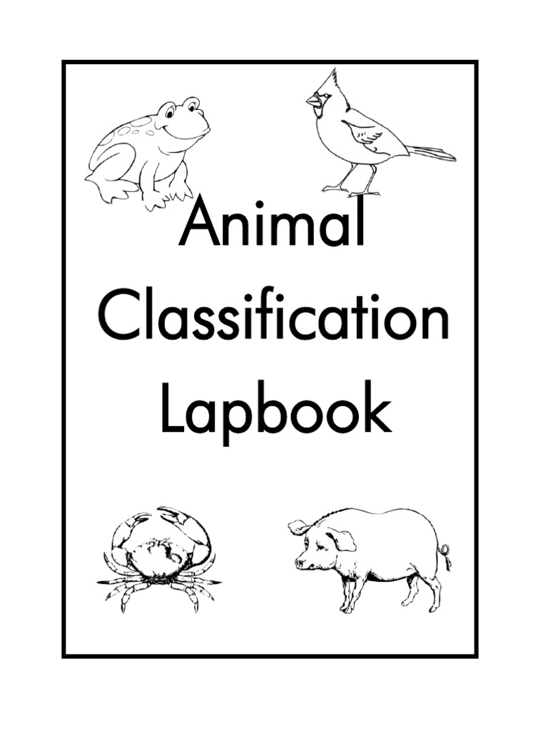Lapbook Animal Classification Day 6 | PDF | Invertebrate | Amphibian