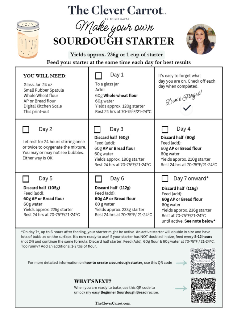 Sourdough Starter Guide | PDF | Breads | Sourdough