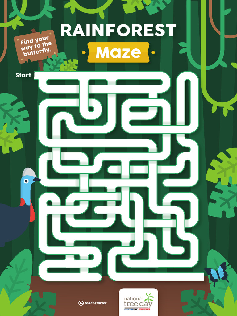 National Tree Day Rainforest Maze Colour | PDF