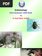 Amharic Dictionary Desta | PDF