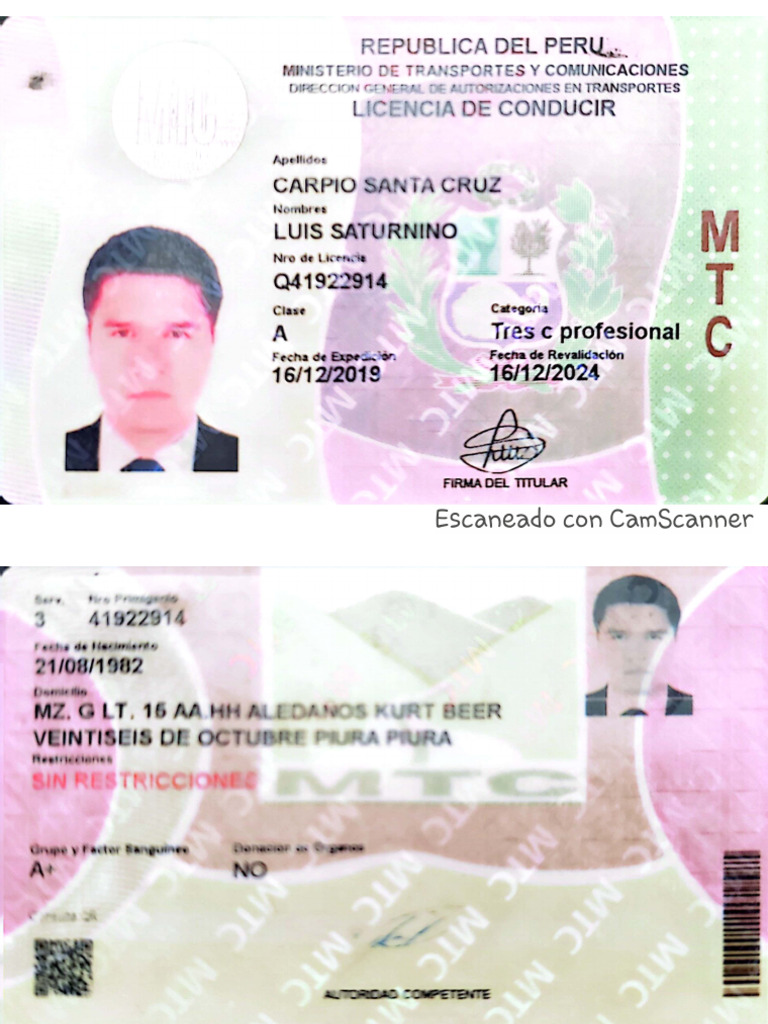 Luis Carpio Licencia | PDF