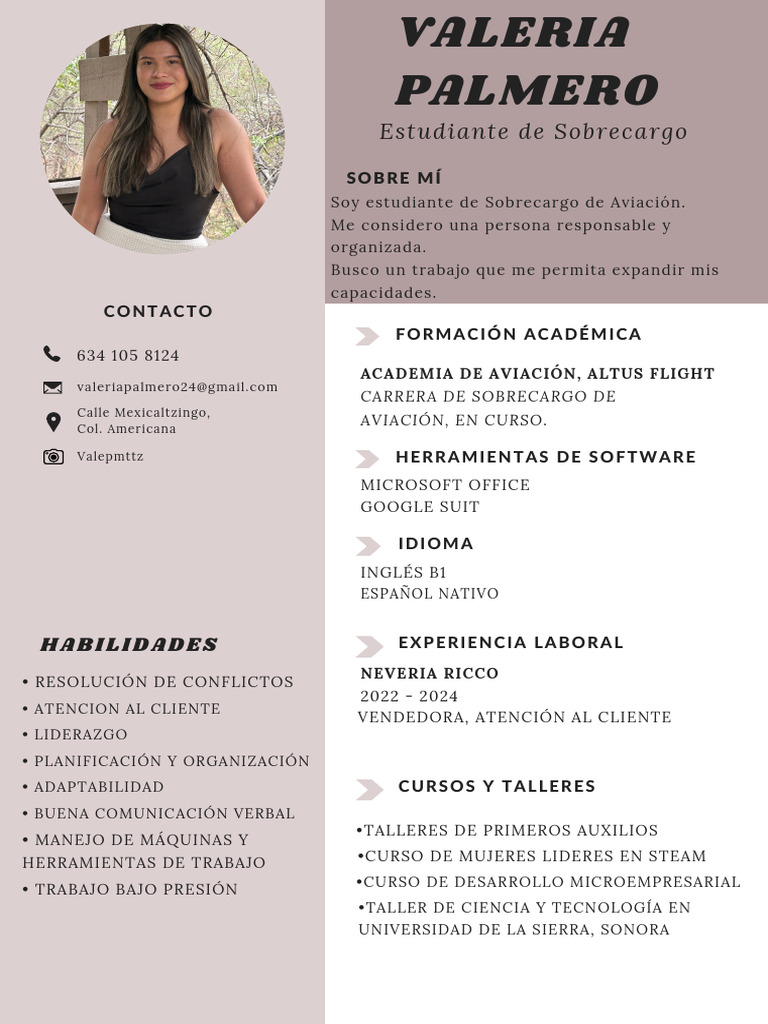 Cv Curriculum Valeria Palmero Mtz.pdf | PDF
