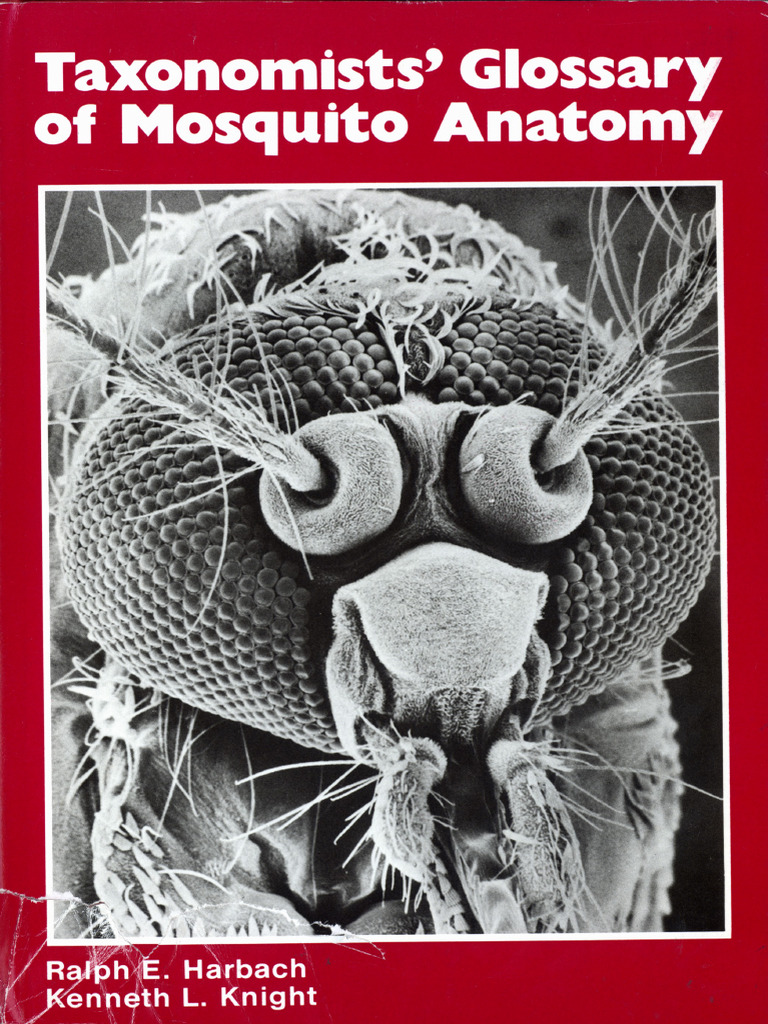 Taxonomists 039 Glossary of Mosquito Anatomy | PDF