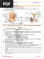 Class 12 Chapter 3 Human Reproduction (Notes) | PDF | Menstrual Cycle ...