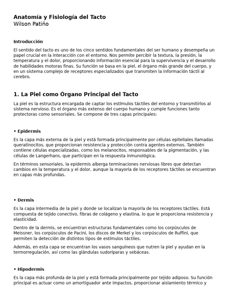 Anatomía del Tacto Humano | PDF | Sistema somatosensorial | Sentidos