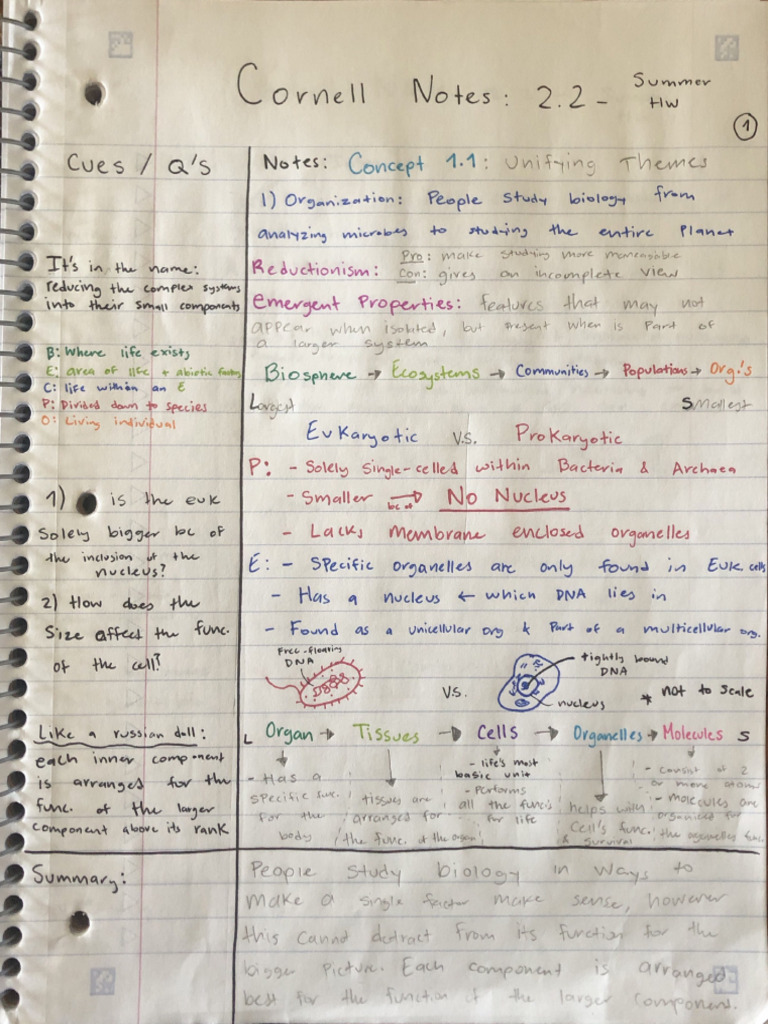 Cornell Notes 2.2 | PDF