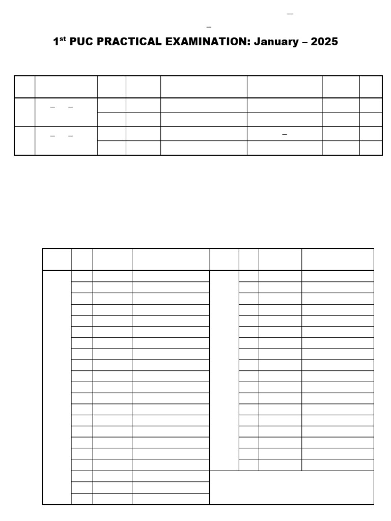 1 PUC Lab CS 2025 | PDF