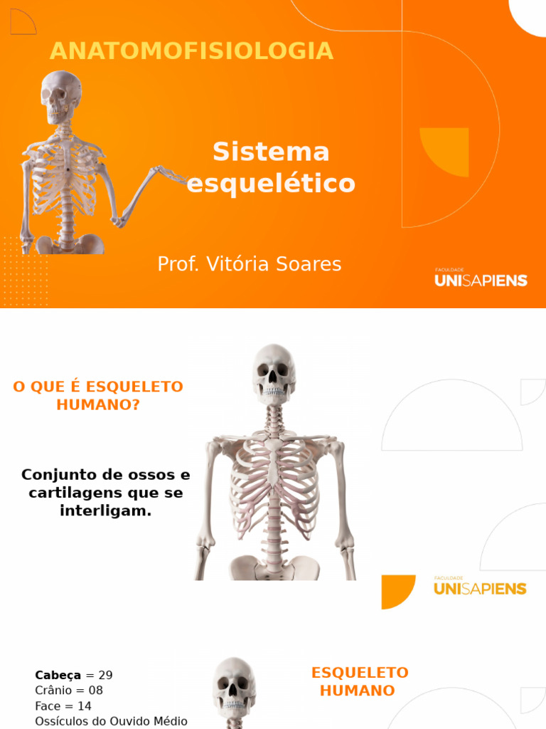 Anatomo Fisio. Ossos | PDF | Osso | Esqueleto