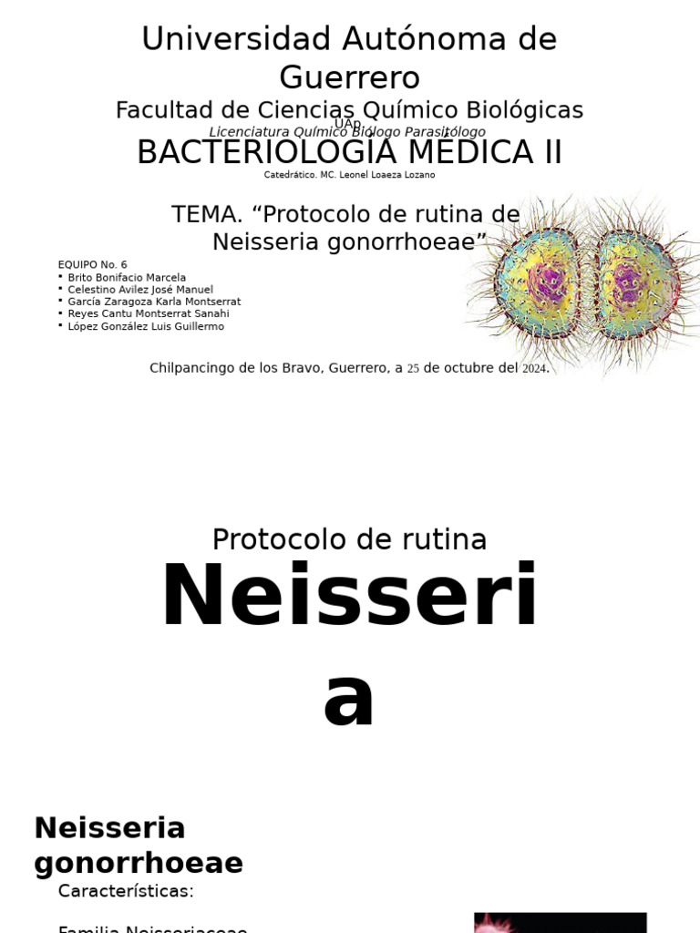 Protocolo de Neisseria gonorrhoeae | PDF | Especialidades Medicas | Inmunología