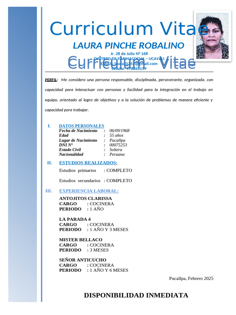 CURRICULUM-VITAE Laura | PDF