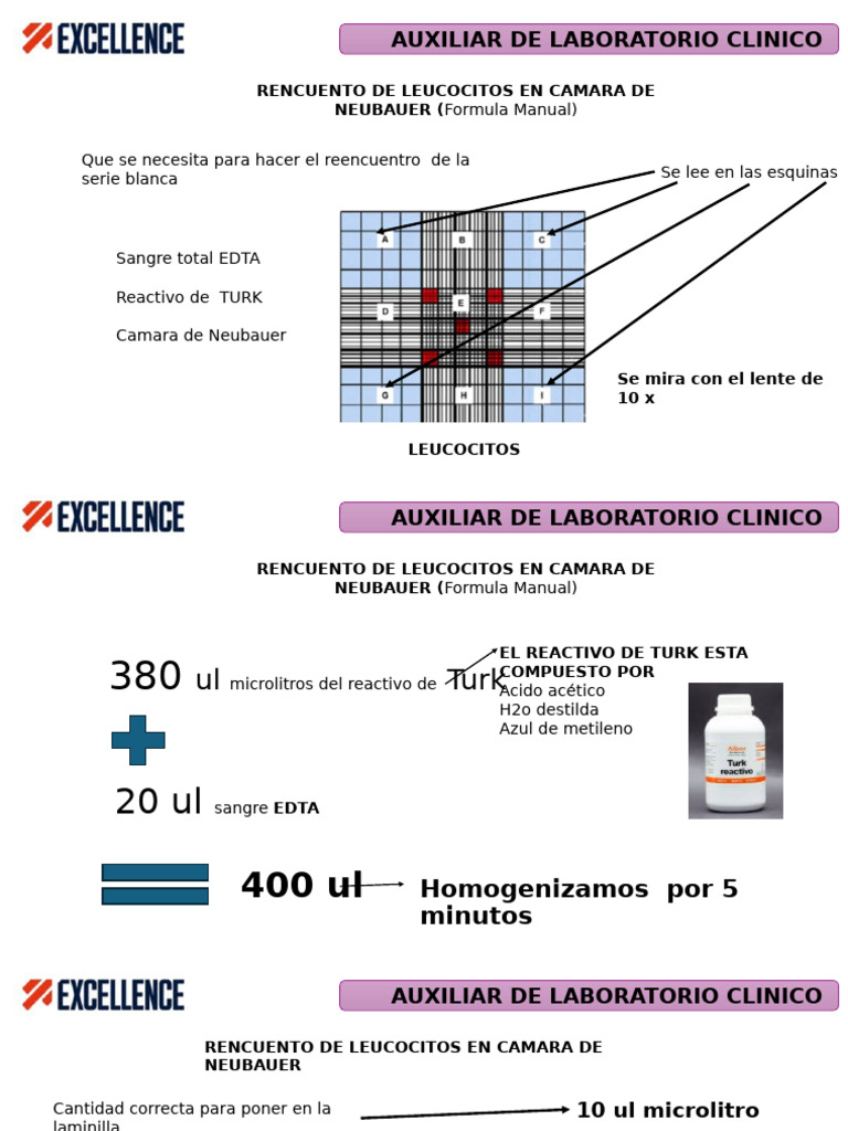 Formulas Paraconta Hemograma | PDF | Leucocito | Especialidades Medicas