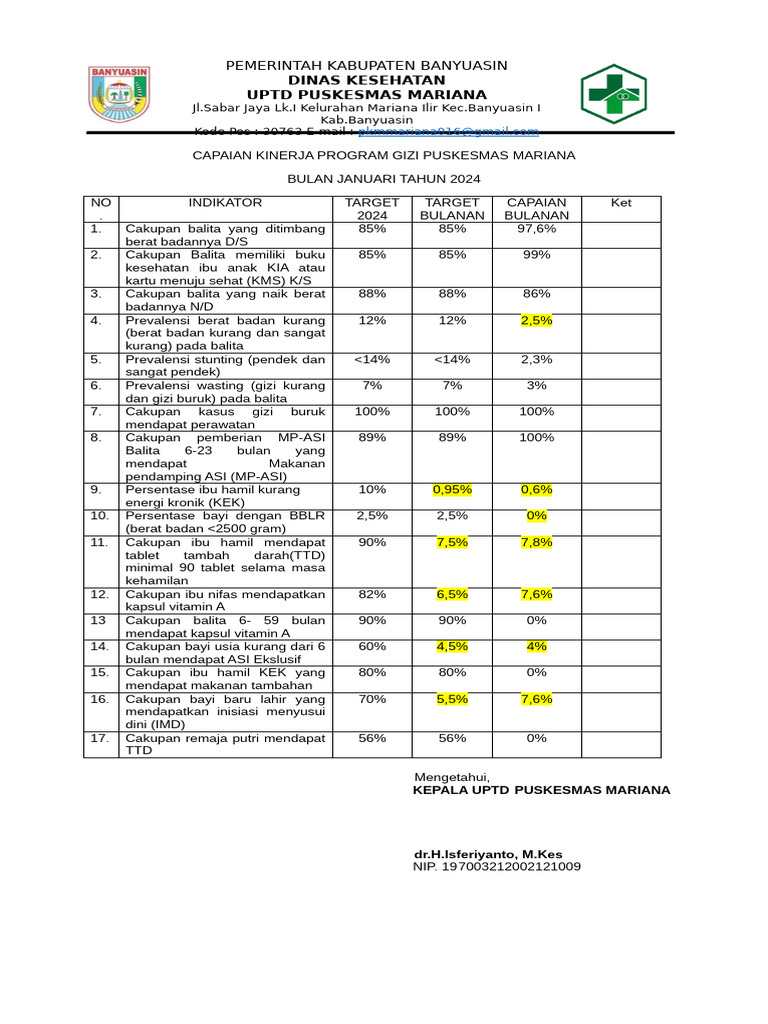 Capaian Kinerja Gizi Bulanan Tahun 2024 | PDF