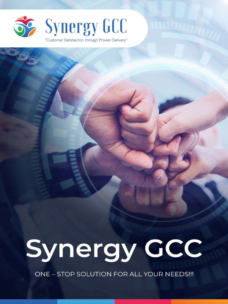 Synergy Project Management Group 2025 | PDF