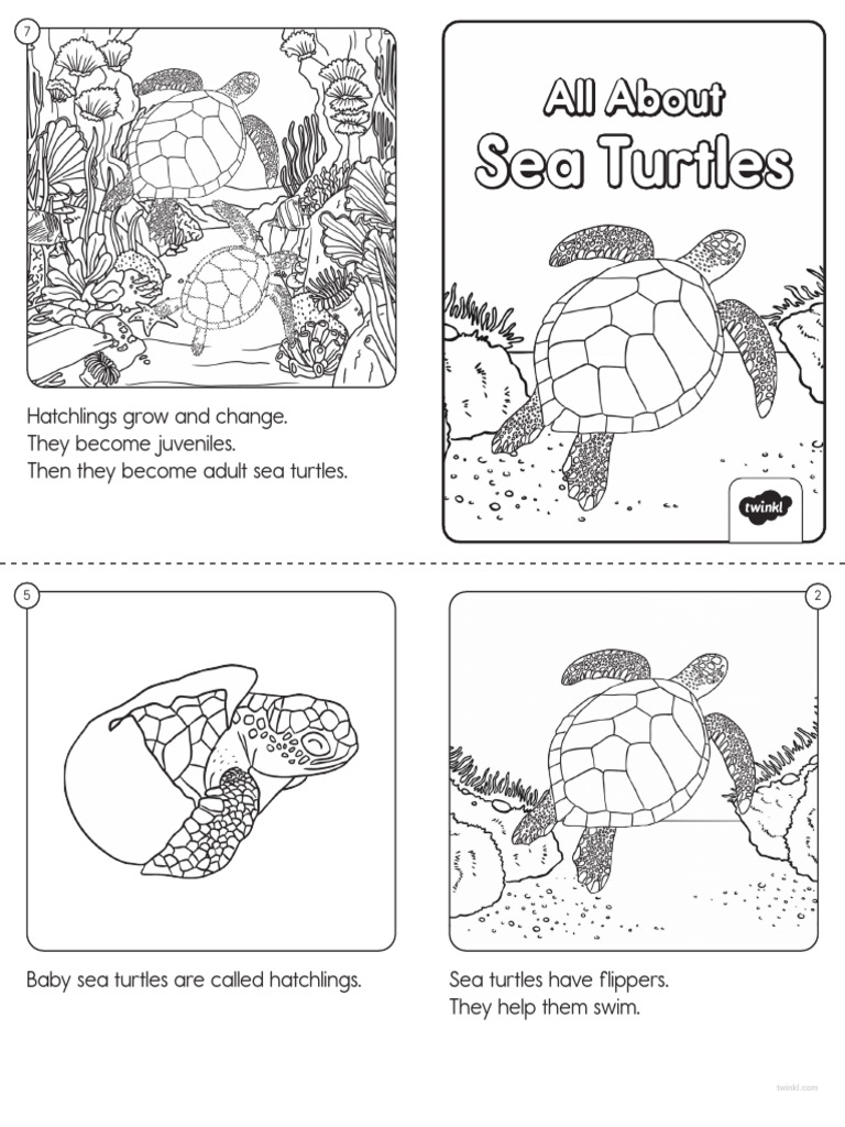 Black and White All About Sea Turtles Emergent Reader | PDF