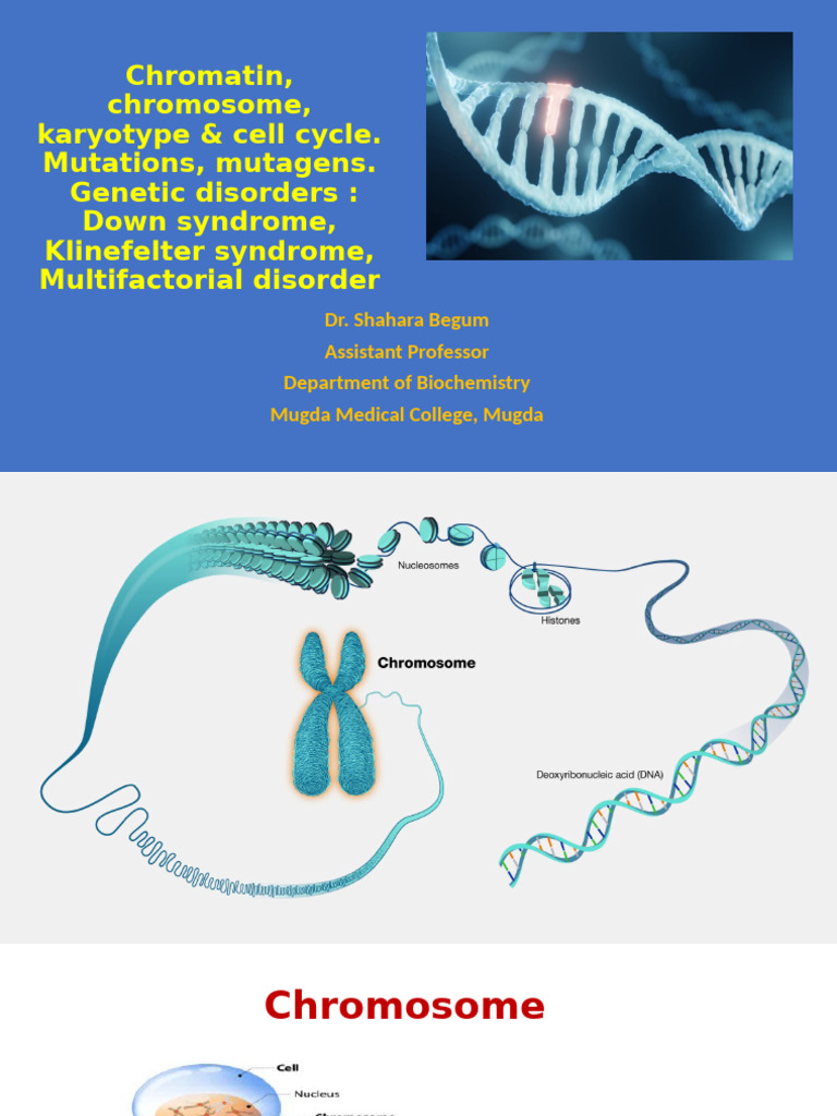 Mutation, Genetic Disorder | PDF | Point Mutation | Mutation