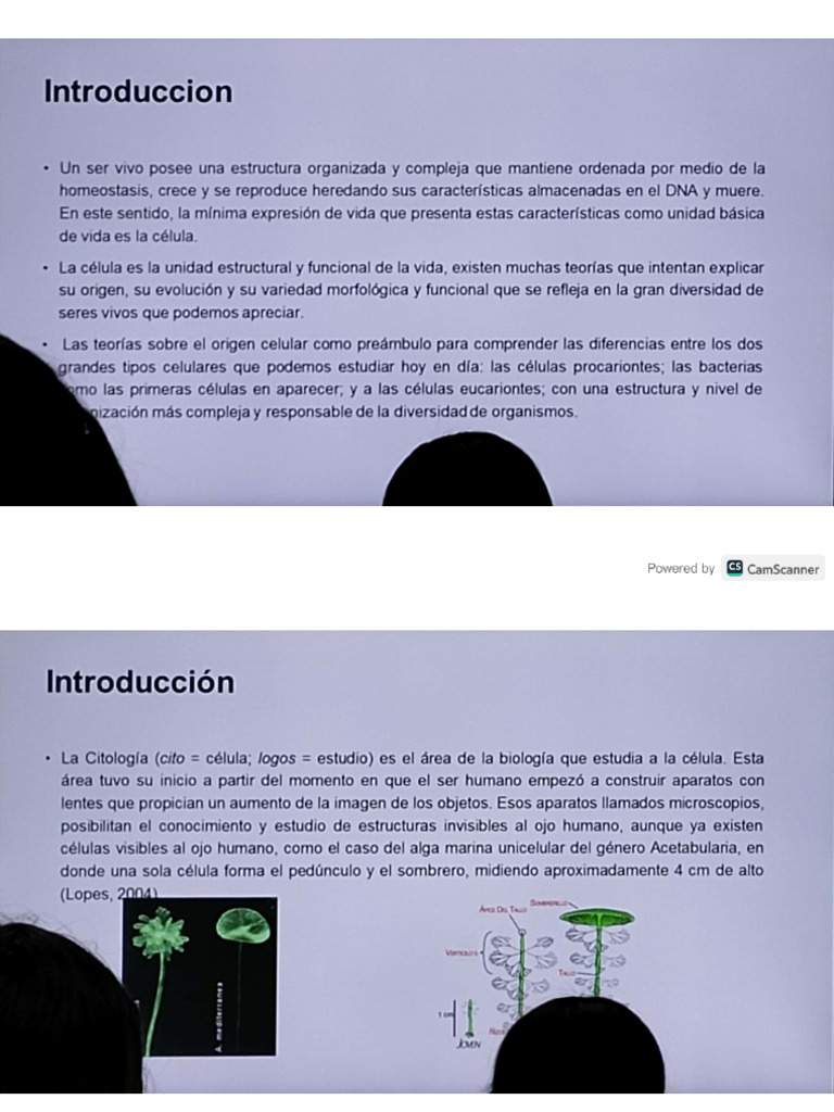 CamScanner 29-08-2024 22.07 | PDF