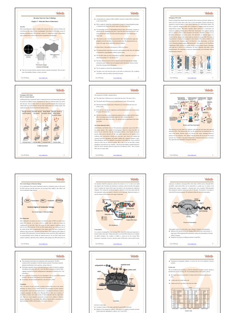 Cbse Class 12 Biology Notes Chapter 5 | PDF | Rna | Gene