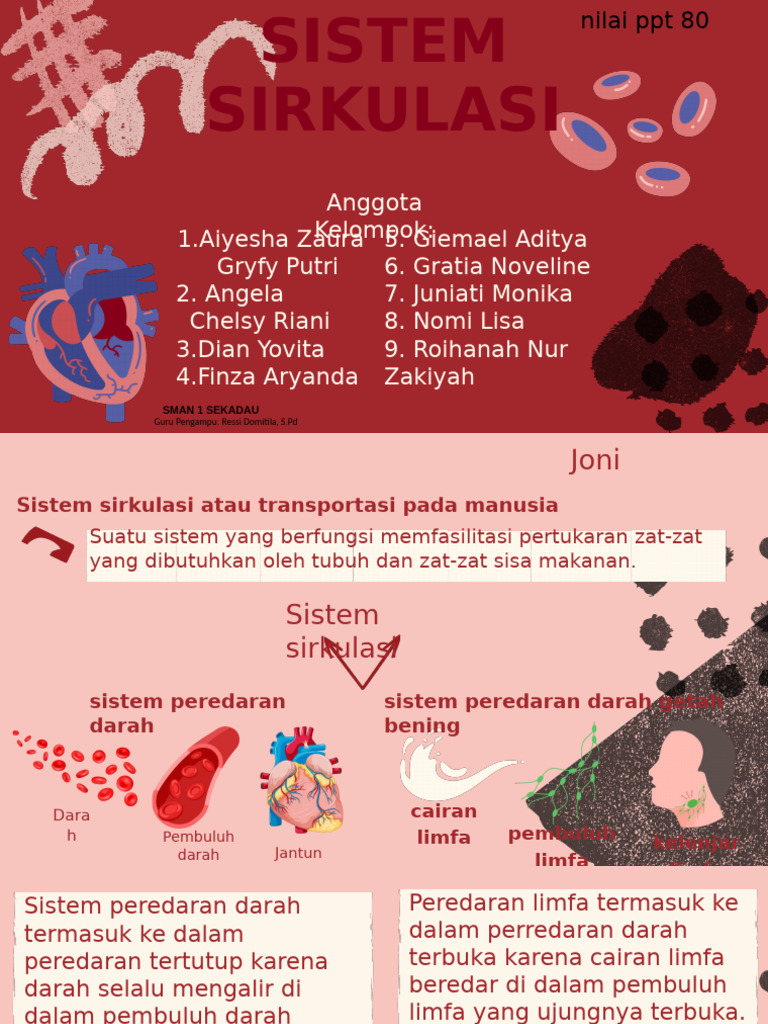 Sistem Peredaran Darah - PPTX 20241014 183102 0000 | PDF