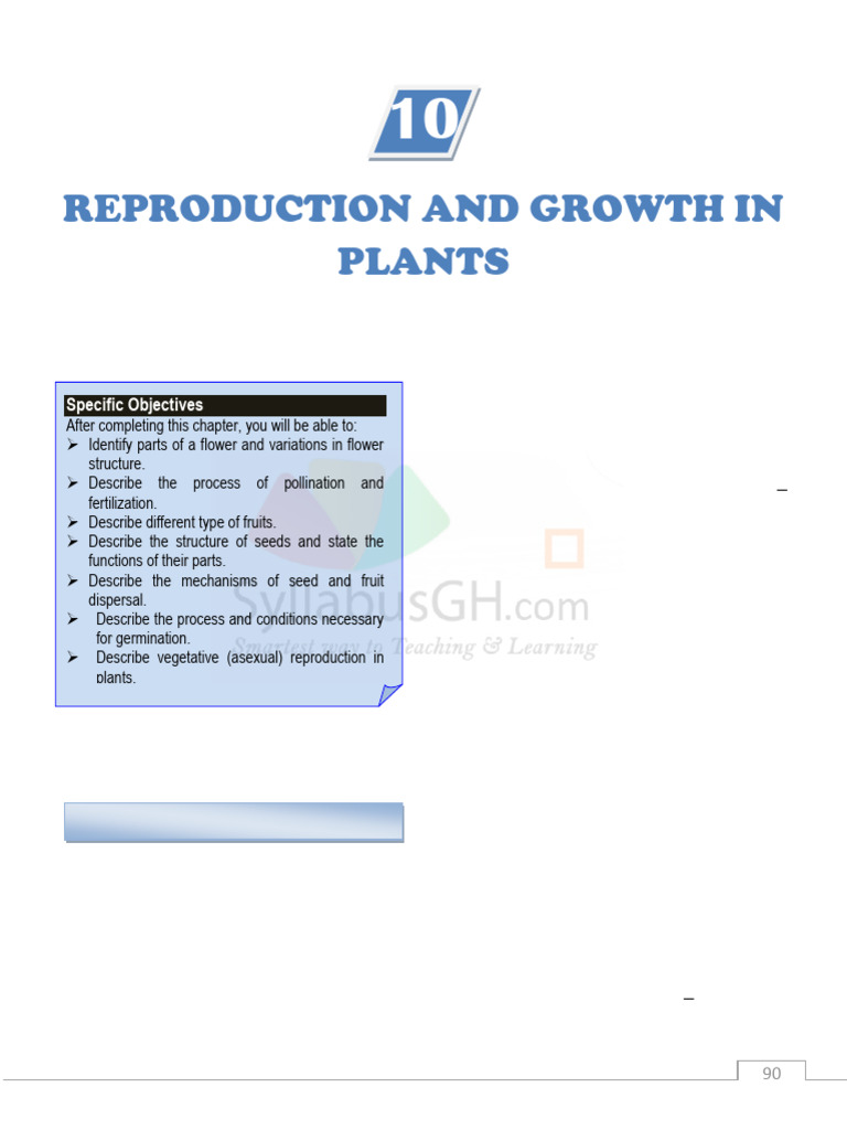 Plant Reproduction and Growth Explained | PDF | Flowers | Seed