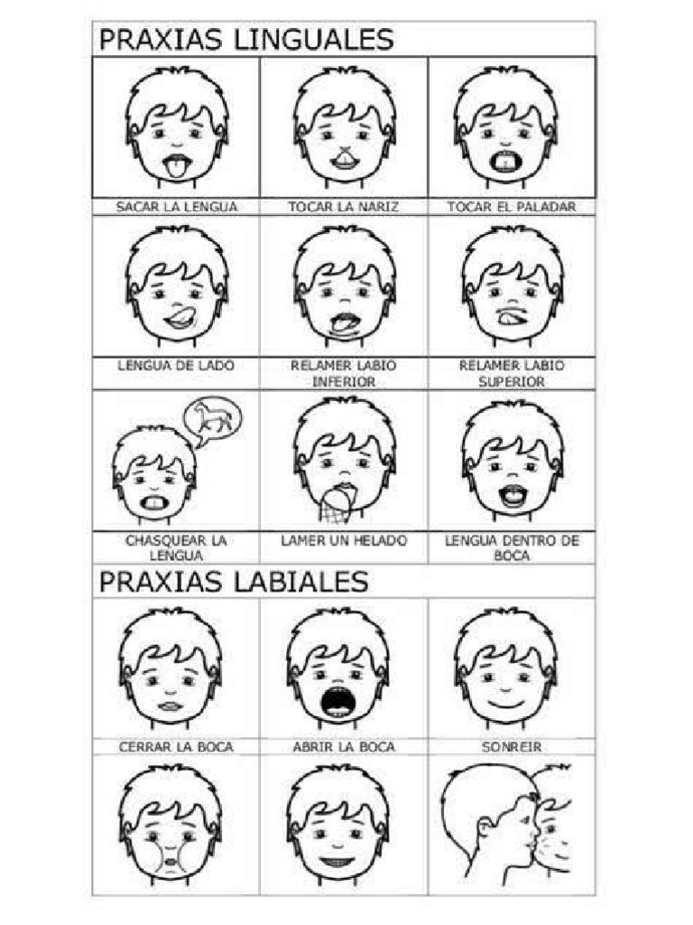 Praxias Pdf