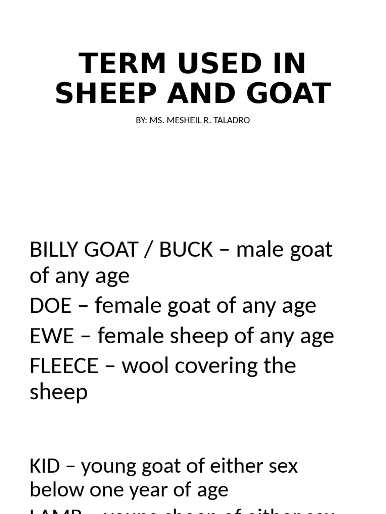 Sheep and Goat Terminology Guide | PDF