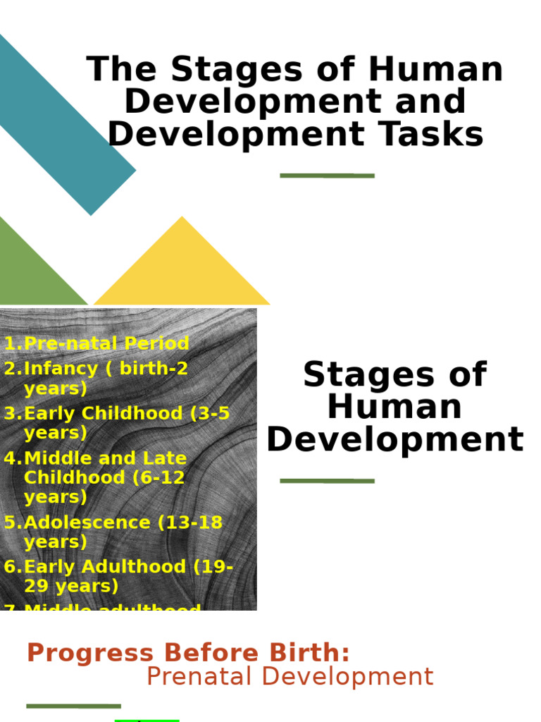 The Stages of Development and Development Tasks 1 | PDF | Infants ...