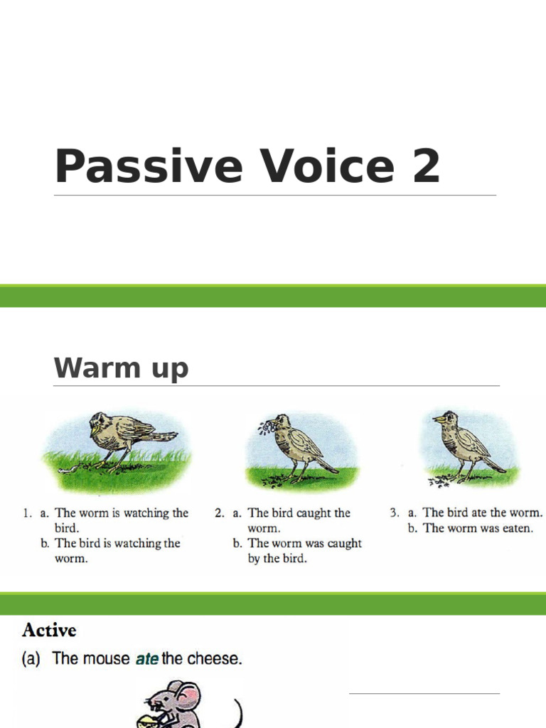 Understanding Passive Voice Usage | PDF