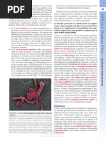 5 Trafico Vesicular | PDF | Biología Celular | Bioquímica