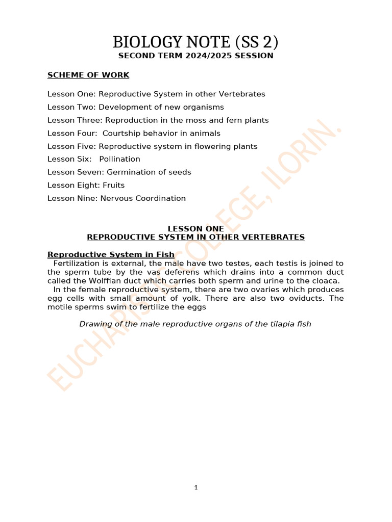 Non-Viviparous Animal Classification | PDF | Flowers | Petal