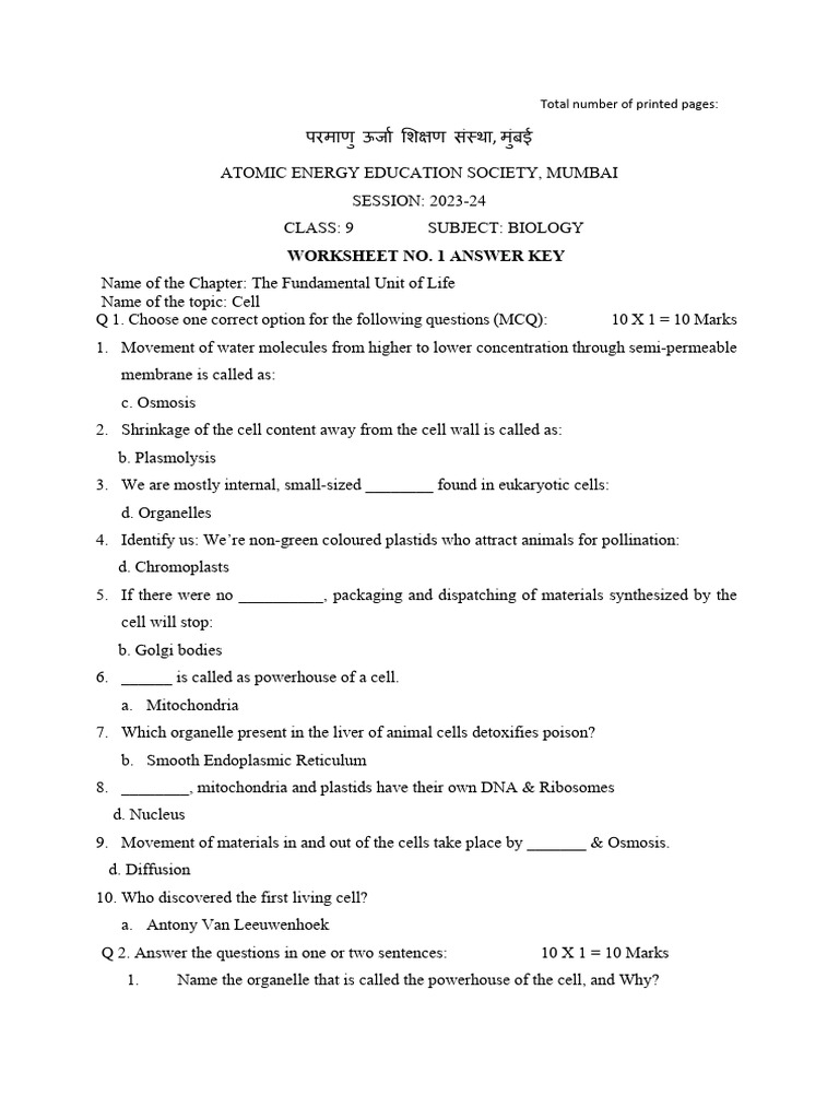 Class 9 Lesson 5 Biology Worksheet Answer Key (PLK) | PDF | Cell ...