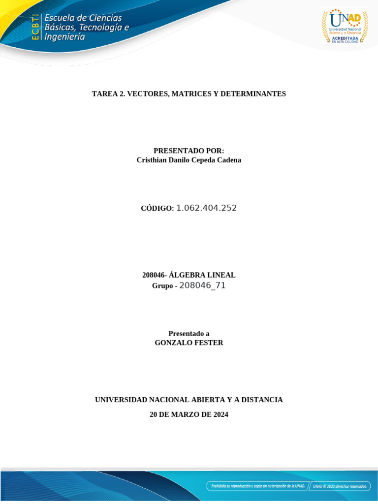 Tarea2 208046 71 Cristhiandanilocepedacadena | PDF | Determinante | Matriz (Matemáticas)