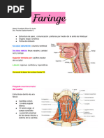 Anatomía y Fisiología de La Rinofaringe, Orofaringe e Hipofaringe | PDF ...