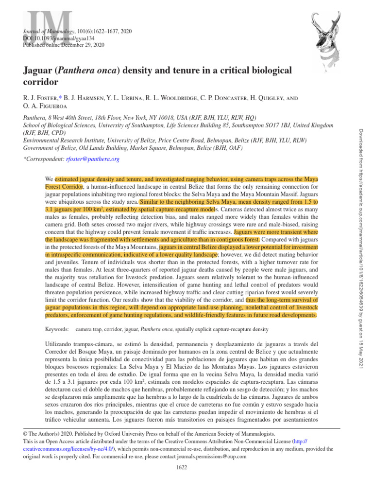 Jaguar Density in Belize's Corridor | PDF | Jaguar | Forests