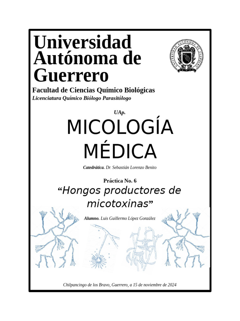 Práctica No. 6 MICO | PDF | Micotoxinas