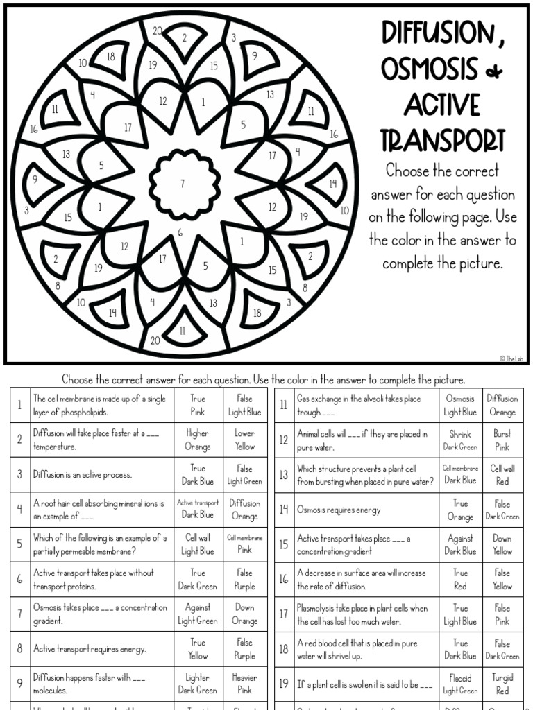 Diffusion Osmosis Active Transport | PDF | Osmosis | Diffusion