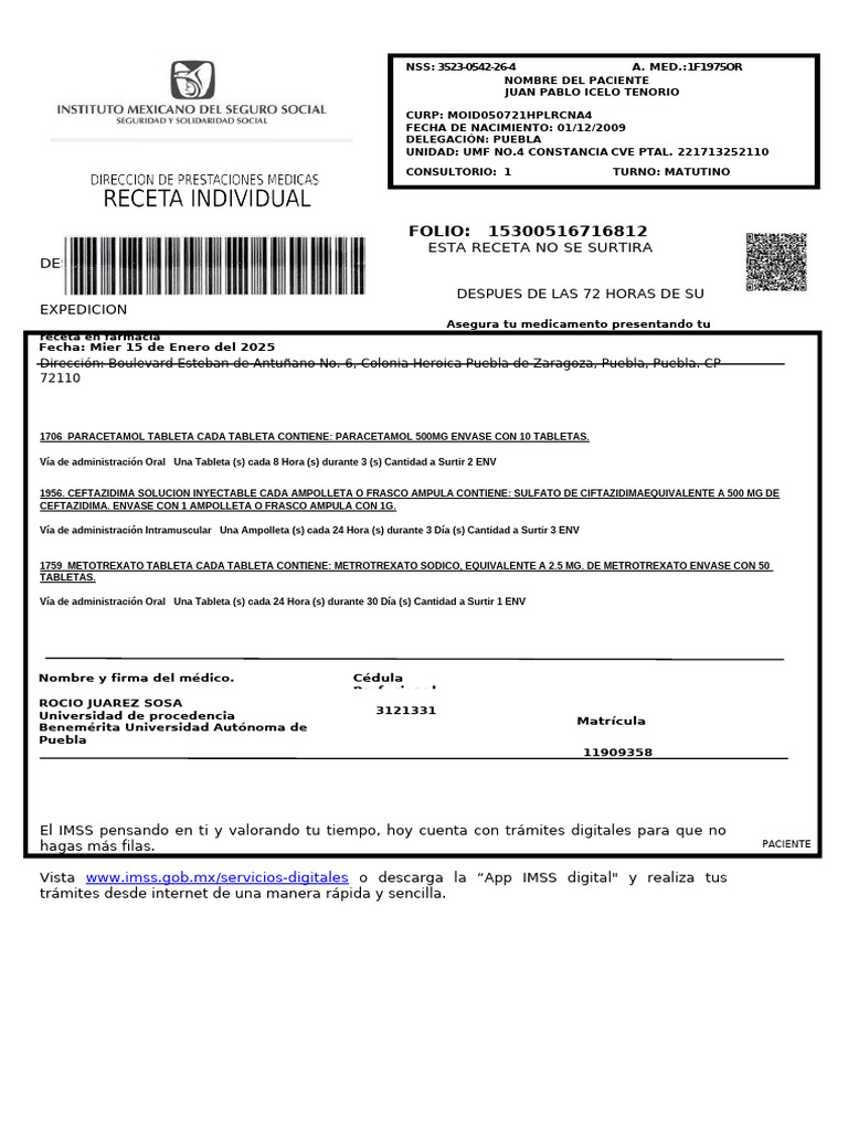 Nuevo Formato Receta Imss | PDF | Terapia | Medicina CLINICA