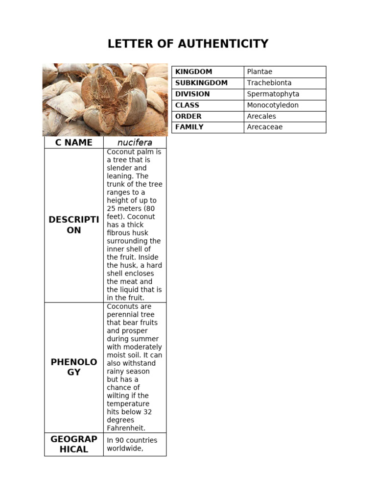 Plant Identification | PDF