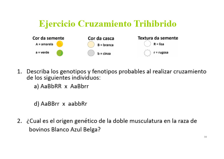 Actividad Cruce Trihibrido | PDF