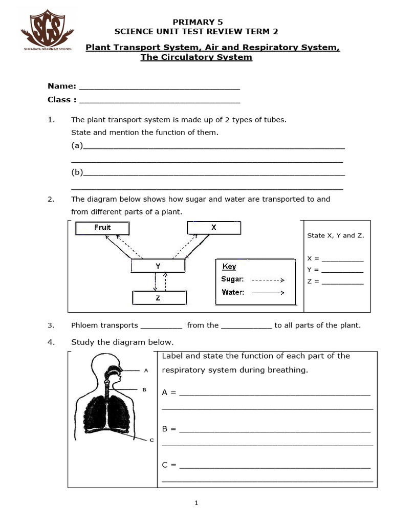 P5 SCIENCE (Unit Test REVIEW Term 2 - 2023-2024) - 231113 - 144125 ...