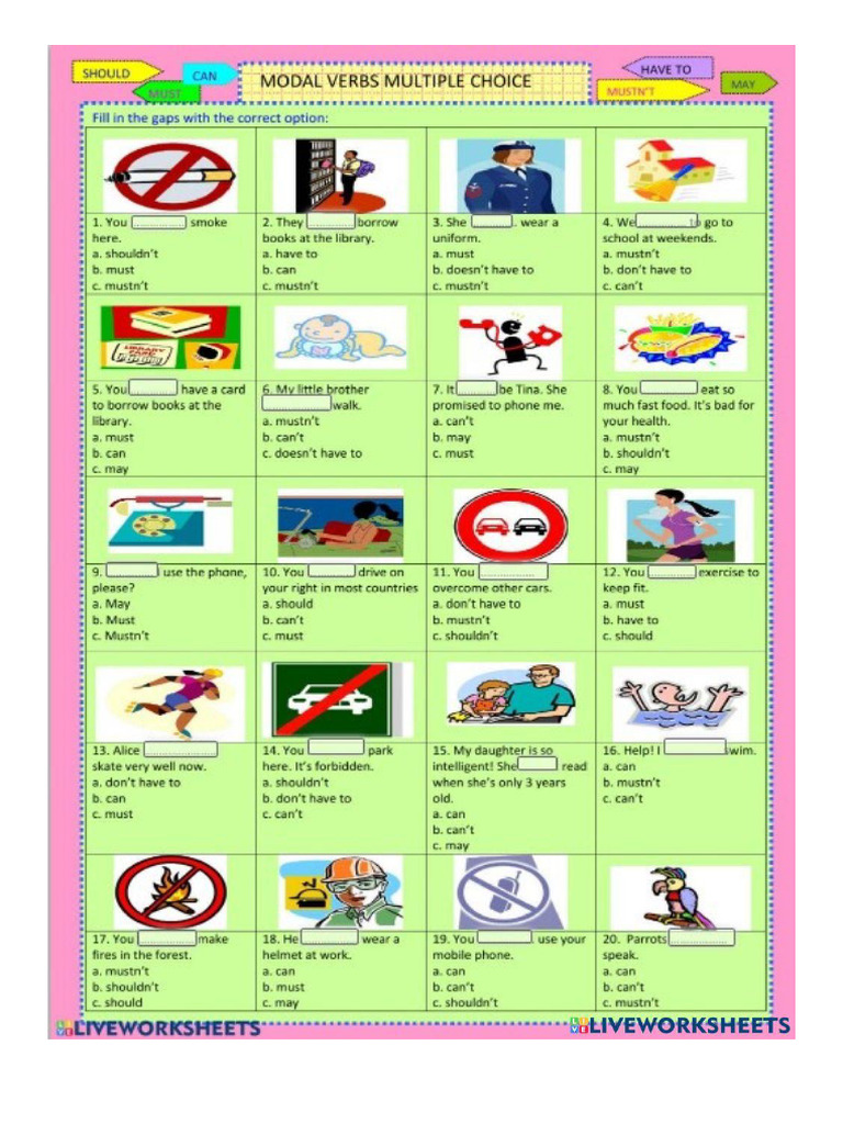 Homework (Modal Verbs) | PDF