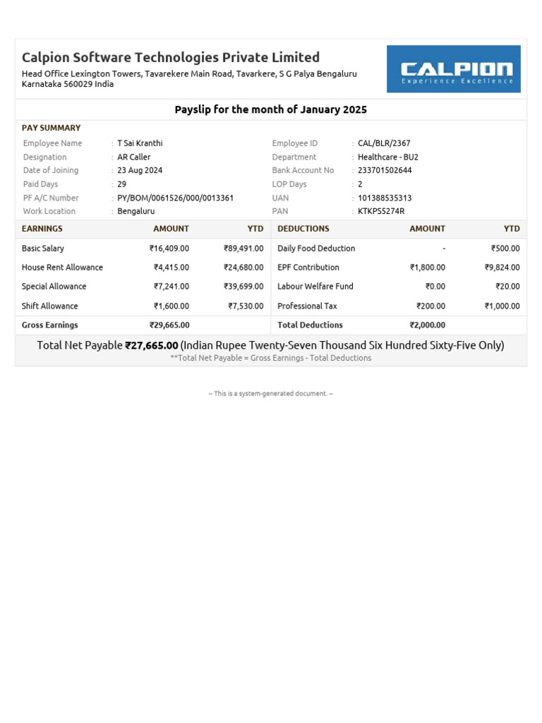 January 2025 Salary Slip - Calpion | PDF