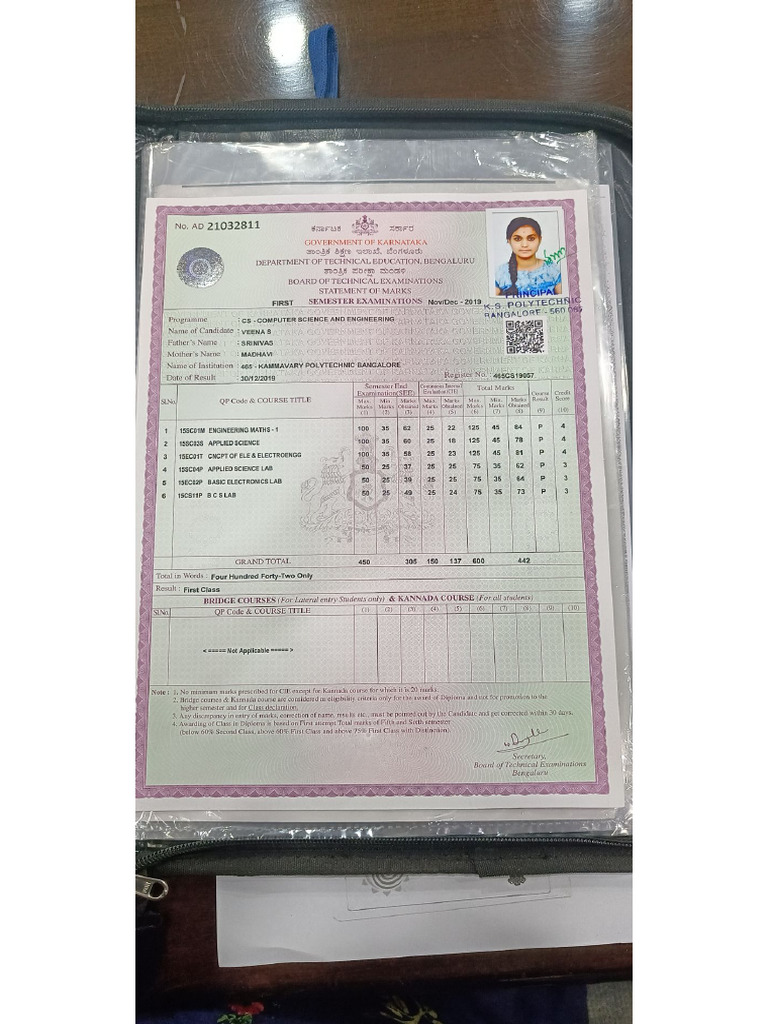 Degree Marks Card | PDF