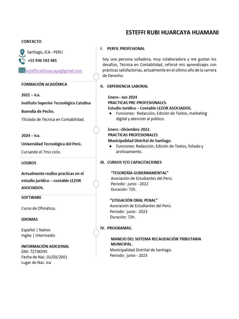 Perfil Profesional de Esteffi Rubi Huarcaya | PDF