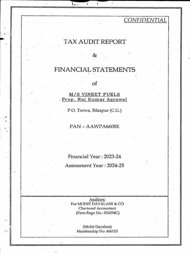 Vineet Fuels Audit Report AY 24-25 | PDF | Payments | Cheque