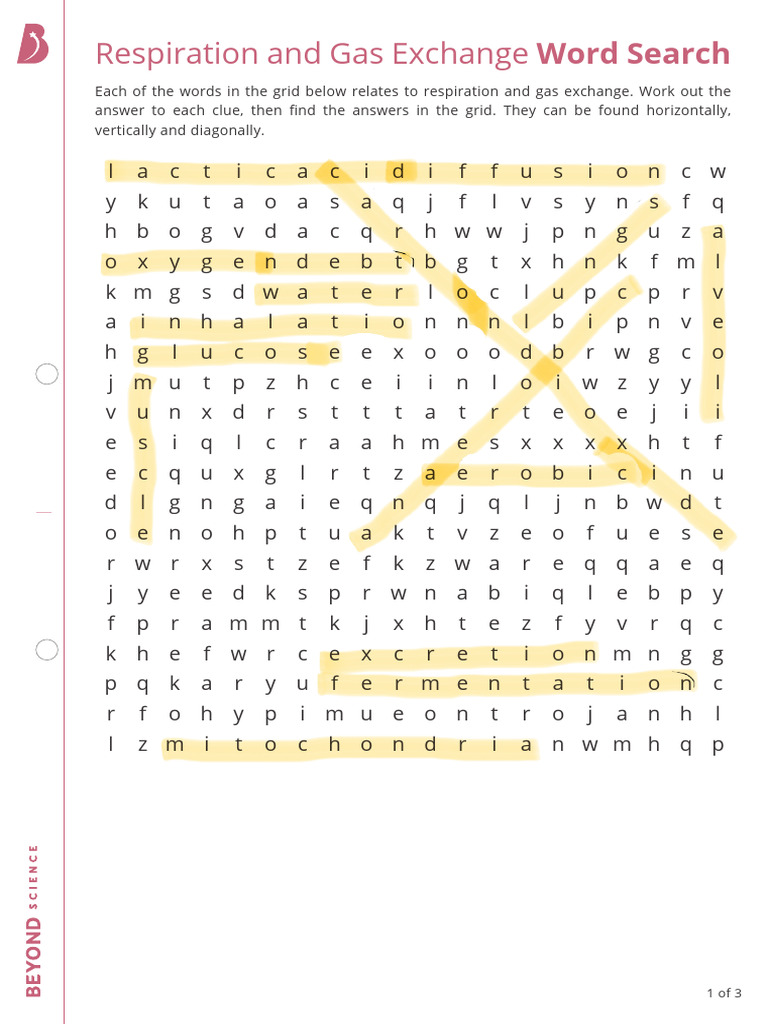 Respiration Word Search | PDF | Cellular Respiration | Respiratory System