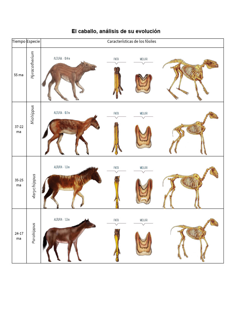 El caballo | PDF | Caballos | Équidos