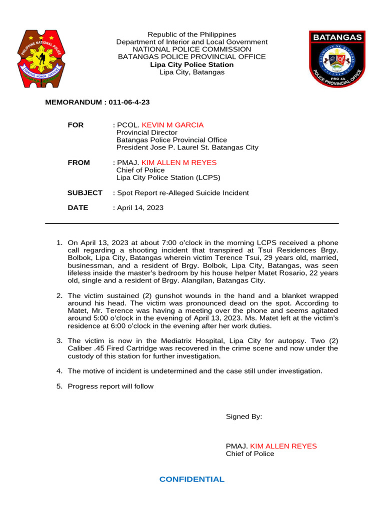 Spot Report Template 2024 3 | PDF