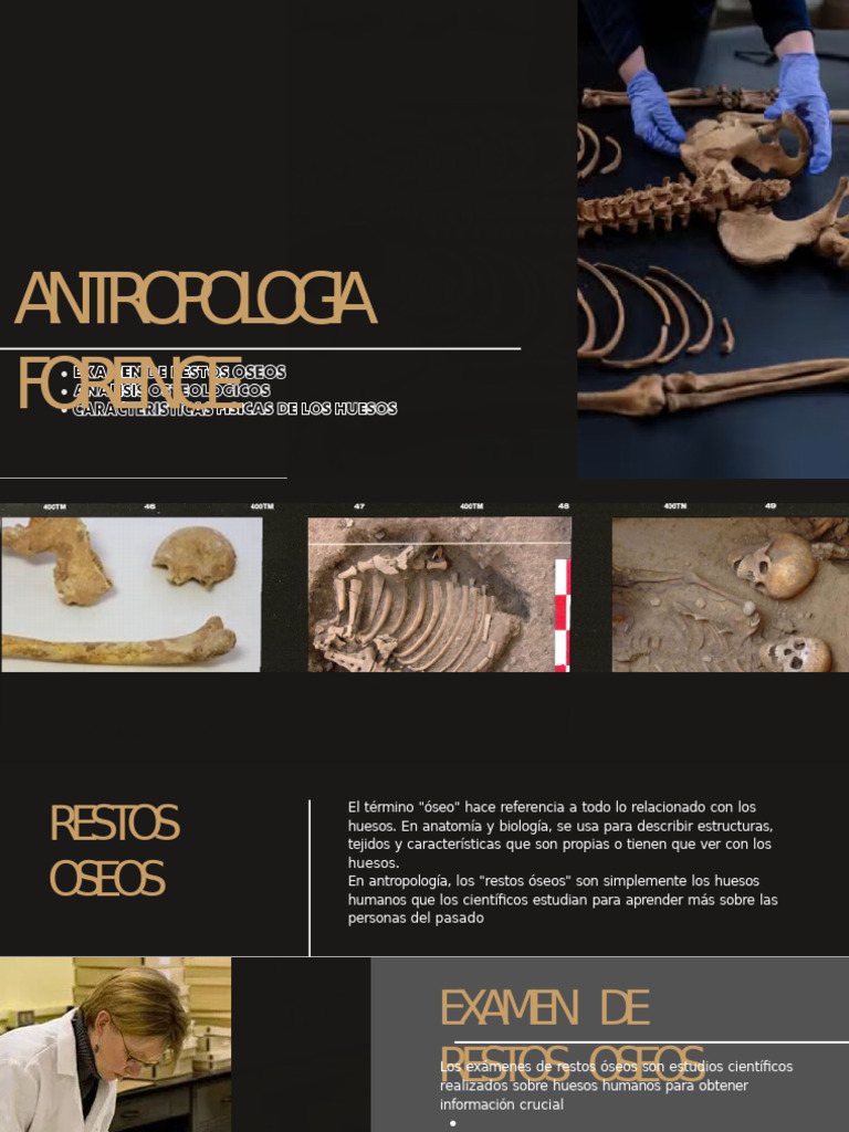 Antropologia Forence 01 Expo | PDF | Hueso | Esqueleto