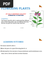 s1 Biology Notes | PDF | Tissue (Biology) | Microscope